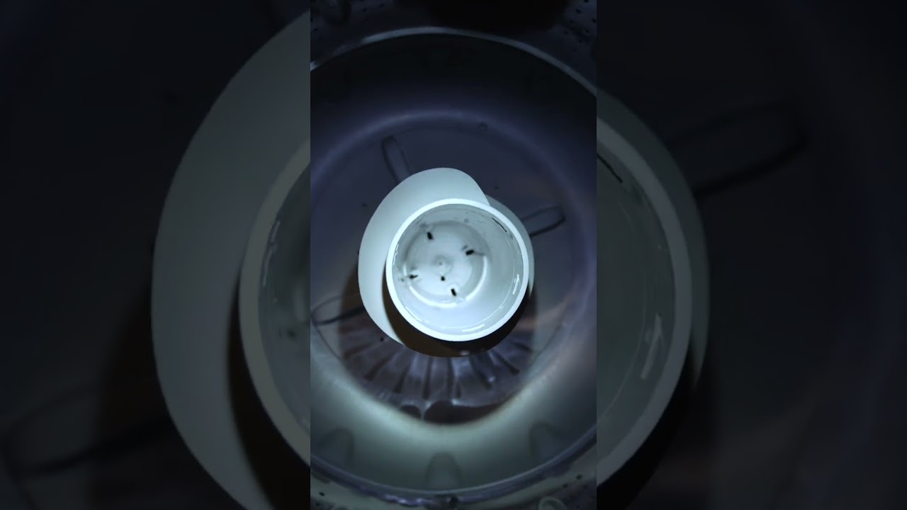 "How to Do the Impossible? Removing an Agitator from an Insignia ...